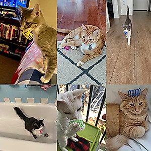 Cat Spring Toys 60 Pack, Colorful Springs Cat Toys Interactive Cat Toy Plastic Coil Spiral Springs Creative Cat Toy to Kill Time and Keep Fit Durable Heavy Plastic Spring for Indoor Cats Kitten Toys