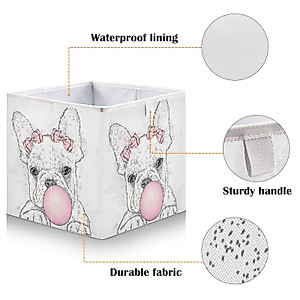French Bulldog with Gum Storage Baskets for Shelves Foldable Collapsible Storage Box Bins with Cubes Toys Closet Organizers for Pantry Clothes Storage Toys, Books, Home, Office,16 x 11inch