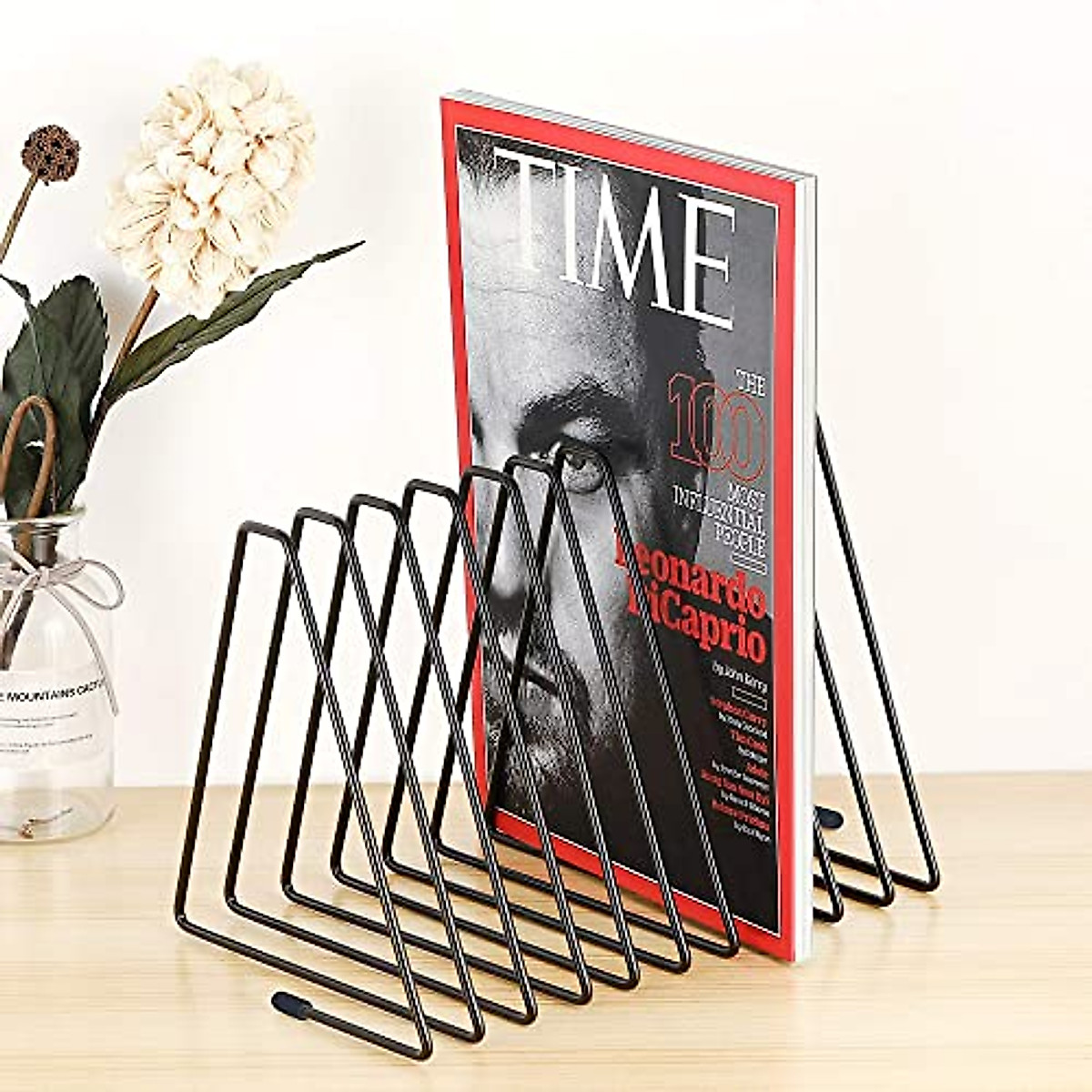 CAXXA 10 Slots Triangle Bookshelf, File Sorter, Metal Wire Magazine Holder, Document Holder, Black