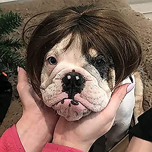 DooMase Funny Pet Clothing Pet Wig Pet Halloween Special Events Costume for Dog & Cat (Flaxen Wig, One Size)
