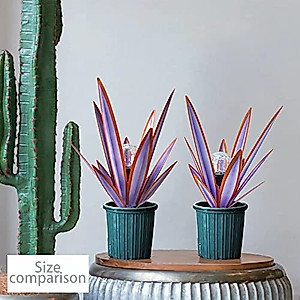 menoha 2 PCS Tequila Rustic Sculpture,Rustic Hand Painted Metal Agave Plant,DIY Metal Plant Garden Yard Sculpture,Lawn Home Ornaments Stakes Outdoor Decor Garden (Purple++Ball)