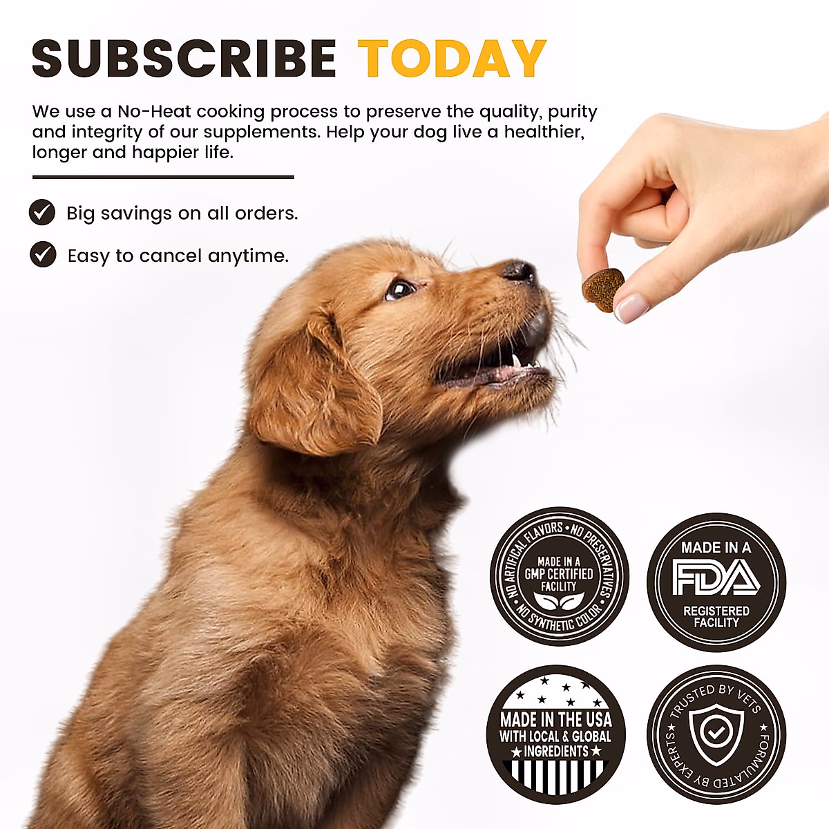 Allergy and Itch Skin Supplement | Immune Support Chews with Probiotics, Turmeric, Omega 3, Colostrum | Dog Chews for Gut & Digestive Health, Seasonal Allergies, Nose Congestion