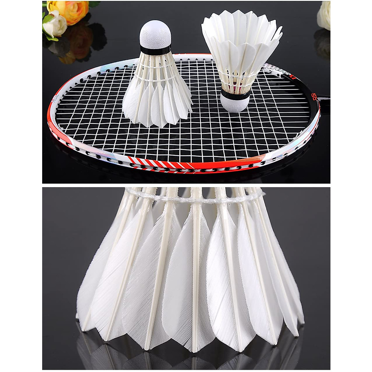 RSL No.4 Tourney Badminton Shuttlecock Birdy 12-Pack (speed-77)