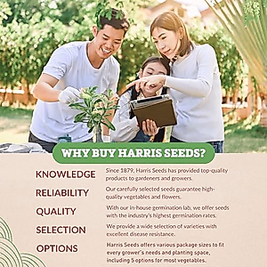 Garden Trends - Pea Seeds - Super Sugar Snap - Non-GMO Vegetable for Outdoor Planting Home Garden - Long Vines - Dark Green Pods - Flat, Sweet Berries - 0.5 Lbs