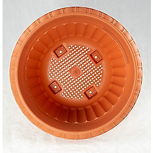 Japanese Plastic Bonsai Training Pot/Garden Planter 10.5"x 10.5"x 7" - Orange