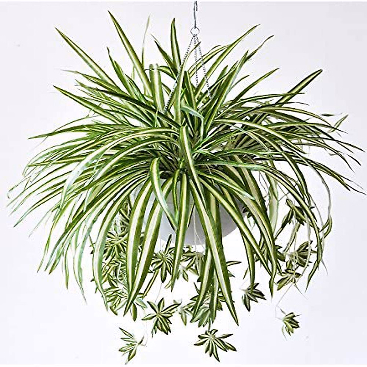 Artificial Chlorophytum Silk Flowers, Artificial Flowers Spider Plant Fake Greenery Faux Plant Hanging Basket Ivy Green Leaves Wall Hanging Plants for Home Garden Office Wedding Decoration