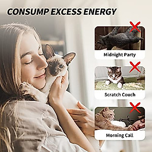 uahpet Battery Operated Cat Water Fountain & 6pcs Filters + Natural Feather Cat Toys for Indoor Cats