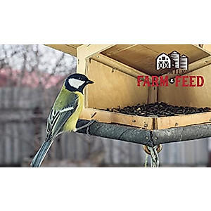 FAMILY FARM AND FEED | Four Seasons | Striped Sunflower Seed | Wild Bird Food | Backyard Songbird | 3 Pounds