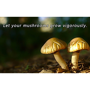 Mushroom Growing Supplies 0.25 μm - 20Pcs 84mm Filter Filter Disc Mushroom, Membrane Filter Sticker, Mycology Supplies, Applied Under Wide Mouth Jar Lid for Mushroom Cultivation