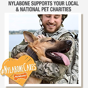 Nylabone Nubz Wild Natural Edible Chew Treats for Dogs, Made in USA, Bison Flavor, Large - Up to 50 lbs. (2 Count)