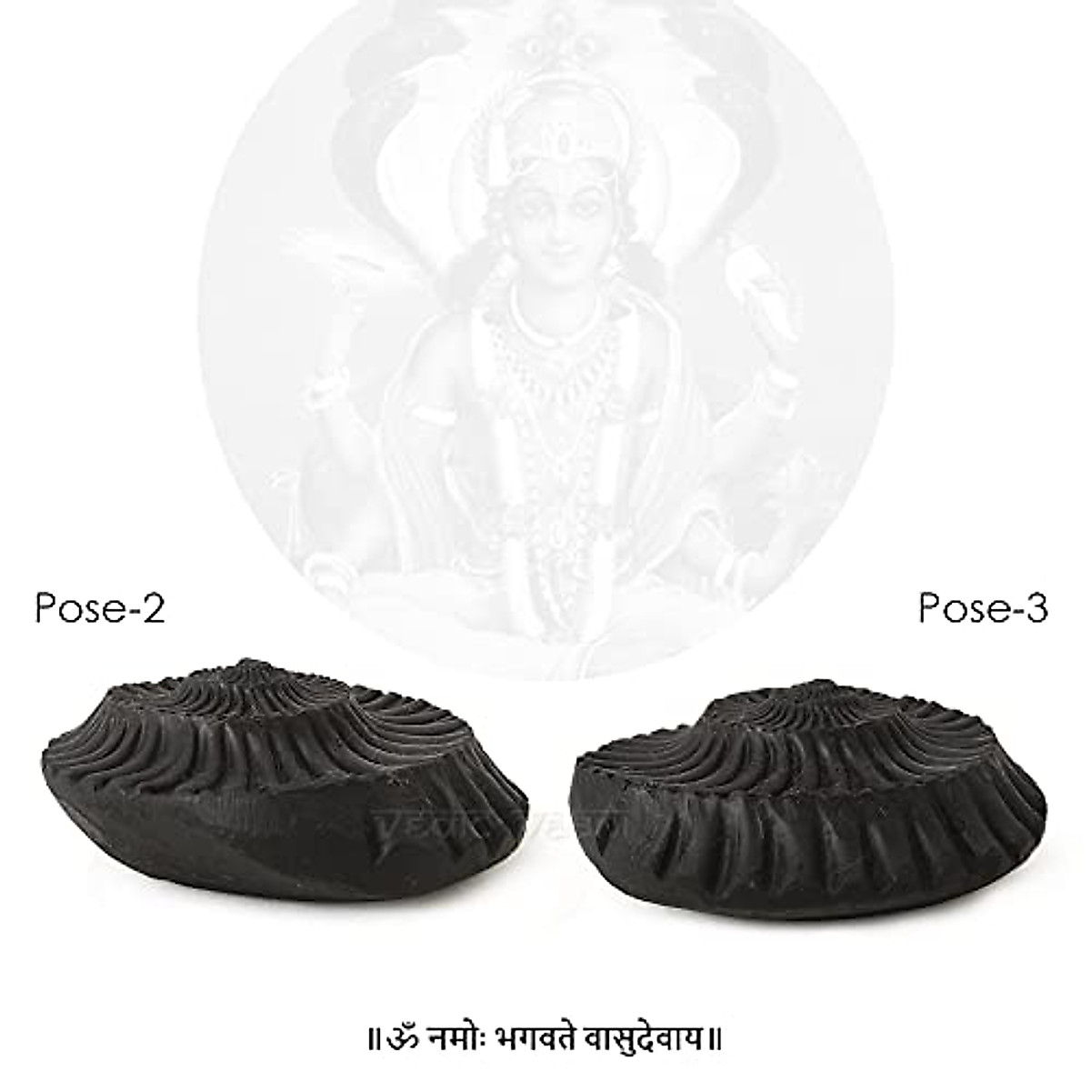 Vedic Vaani Siddh Vishnu Vinayak Divine Sudarshan Shaligram Stone Shila (Pack of 4)