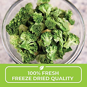 Nutristore Freeze Dried Broccoli | Vegetables for Healthy Snack or Long Term Storage | Emergency Survival Canned Food Supply | Bulk #10 Can Veggies | 25 Year Shelf Life (4-Pack)