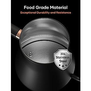 INTASTING Electric Kettle, Electric Tea Kettle with LCD Display, ±1℉ Temperature Control Gooseneck Electric Kettle, Auto Shut-Off/Keep Warm/Brew Timer, Quick Heating Hot Water Kettle Electric, 0.9L