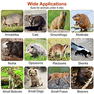 KOCASO 23.3"x7.24"x7.72" Humane Live Animal Trap Cage Cat Trap Catch Release Live Animal Rodent Cage for Indoor Outdoor，Foldable Live Trap for Small Rabbit Squirrel Groundhogs Mole Gopher Cat