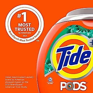 Tide PODS Liquid Laundry Detergent Soap Pacs, 4-n-1 with Febreze, HE Compatible, 85 Count, Lasting Freshness, Botanical Rain Scent