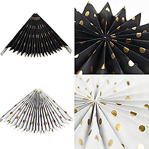 Birthday Decorations Black Happy Birthday Banner Paper Flowers Tissue Paper Pom Poms Paper Lanterns Paper Fans for Birthday Party