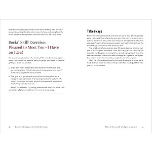 Emotional Intelligence for the Modern Leader: A Guide to Cultivating Effective Leadership and Organizations