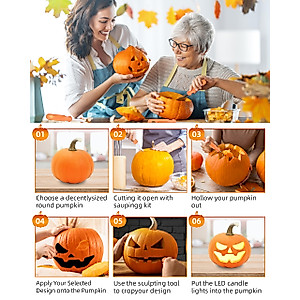 Halloween Pumpkin Carving Tools Kit: Professional Heavy Duty Pumpkin Carving Tools Set Kids Adult Jack O Lantern Pumpkin Carving Kit with Stencils, Halloween Pumpkin Decorating Carver Kit Party Favors