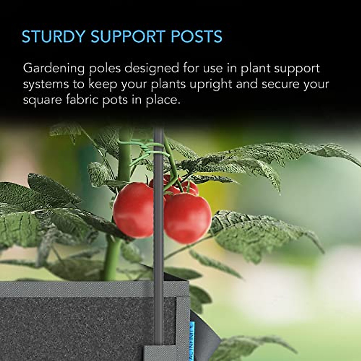 AC Infinity Garden Plant Stakes 60", Sturdy Metal Support Sticks with Protective Plastic Coating, 25-Pack for Tomatoes, Trees, and Vines in Gardening Hydroponics