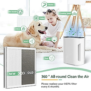 2 Pack 3-in-1 H13 True HEPA Replacement Filter Compatible with Pure Enrichment PureZone Air Purifier Part No. PEAIRPLG