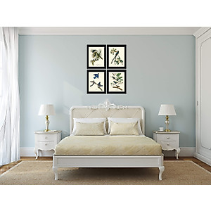 Bird Print Wall Art Set of 4 Prints Beautiful James Audubon Titmouth Fork-tailed Flycatcher Blue Bird Bluebirds Indigo Bird on Pine Tree Blooming Magnolia Flower Home Room Decor Unframed