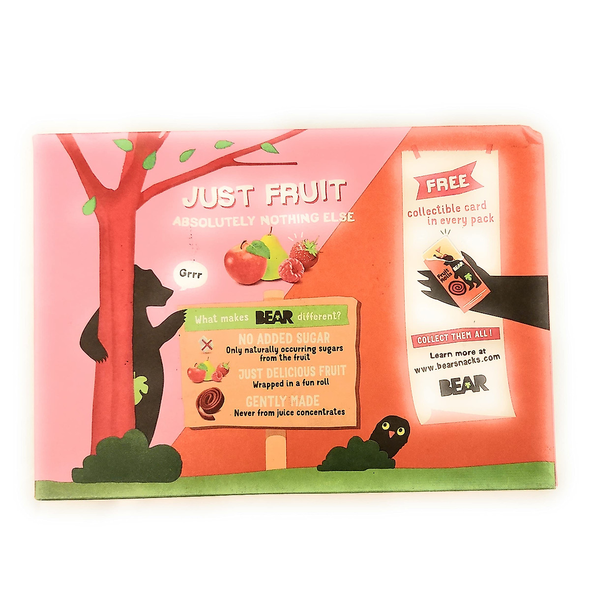 Bear Real Fruit Snack Rolls, Strawberry & Raspberry Variety Pack, 48 Roll (24pk, 2 rolls per Pack), Packaged with Bryant Desai Supplies Pen