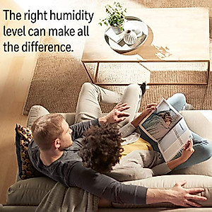 Honeywell Replacement Wicking Filter T, 3 pack, white, 3 Count