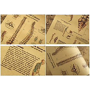 HUAHA Vintage Anatomical Poster Set - Photos Wall Decor - Anatomical Medical Art Set of 12 (16.5 inches x 12 inches)