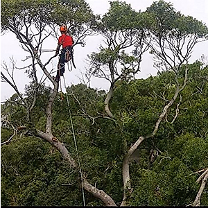 YUZENET Braided Polyester Arborist Rigging Rope (3/8 inch X 100 feet) High Strength Outdoor Rope for Rock Climbing Hiking Camping Swing, Blue/Red