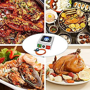 Vivicreate Camping 10000 BTU 1 burner stainless steel panel auto ignition Propane Gas Outdoor Garden Fishing Hiking Camp Restaurant Stove Burner