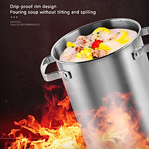 Stainless Steel Vertical Cooker/Steamer - 4L Asparagus Vegetable Pot Home Deep Fryer Pot Japanese Tempura Deep Frying Pot with Strainer Basket and Lid for Kitchen French Fries, Chicken