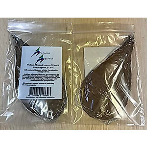 Betta/Shrimp Leaves 10 4"-6" Premium Catappa Indian Almond Leaves Natural Habitat Tannin Producing Improves Immunity, Easy to USE Awesome Aquatic