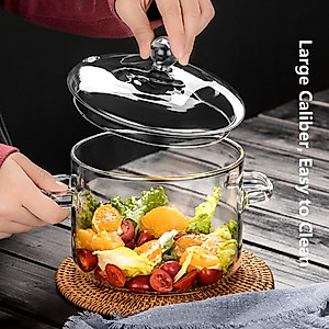1900ML/67oz Glass Clear Saucepan with Lid,Best Handmade Easy Clean Heat Resistant Glass Cooking Pot for Noodles, Soup, Cereals, Fruits