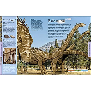 Dinosaurs: A Visual Encyclopedia, 2nd Edition (DK Children's Visual Encyclopedias)