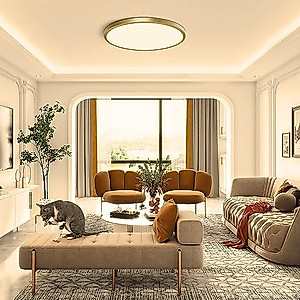 FLETERGIB 12 Inch Gold LED Ceiling Light, 3000K Warm White, 24W Gold Flush Mount Ceiling Light, 3200LM Round Low Profile Ceiling Lights for Bedroom, Living Room, Dining Room