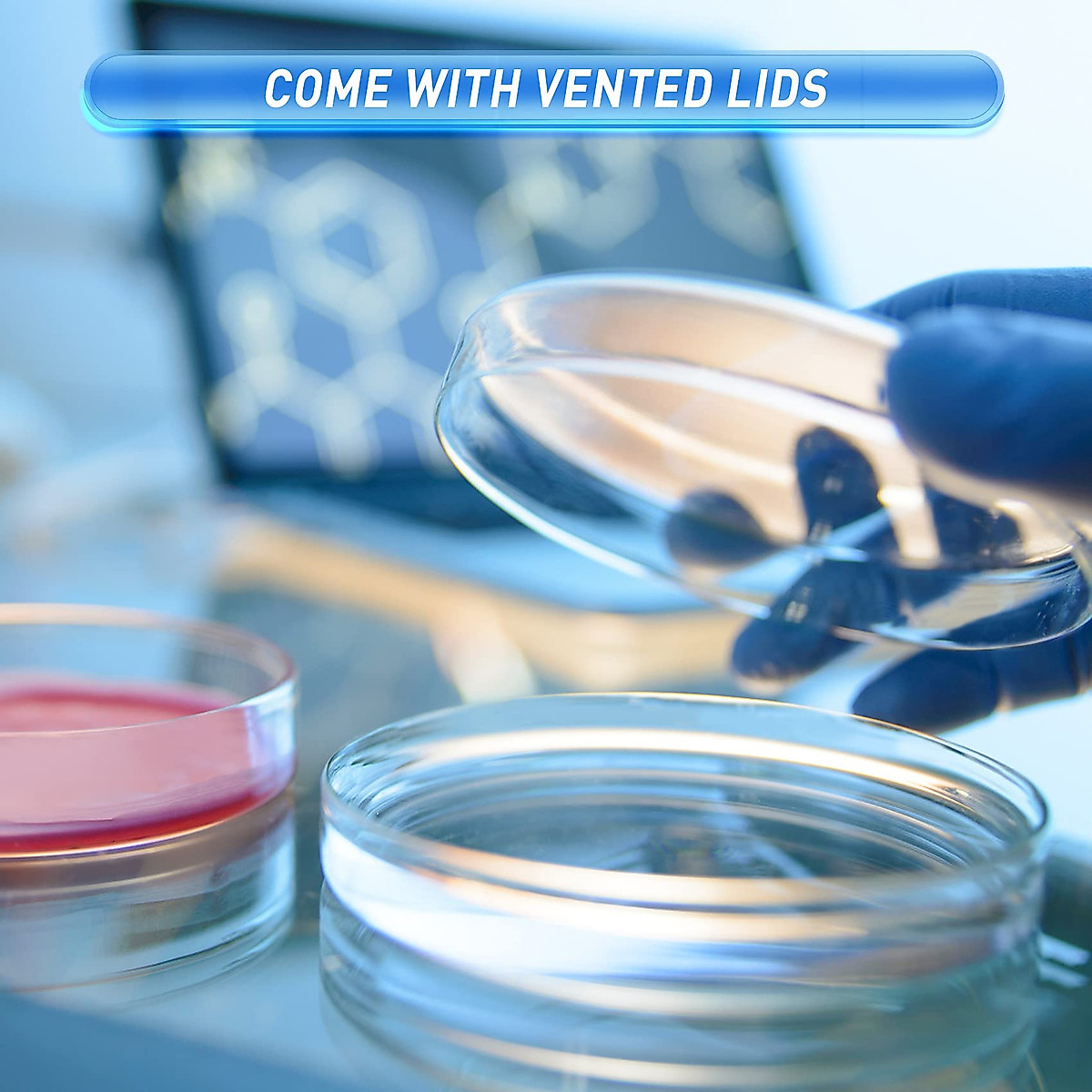 10 Pack Plastic Petri Dishes with Lid 35mm Dia x 10mm Deep, Annhua Petri Plates Culture Dishes Tissue Culture Plate with Cover, Used for Laboratory Analysis and Microbiology Studies