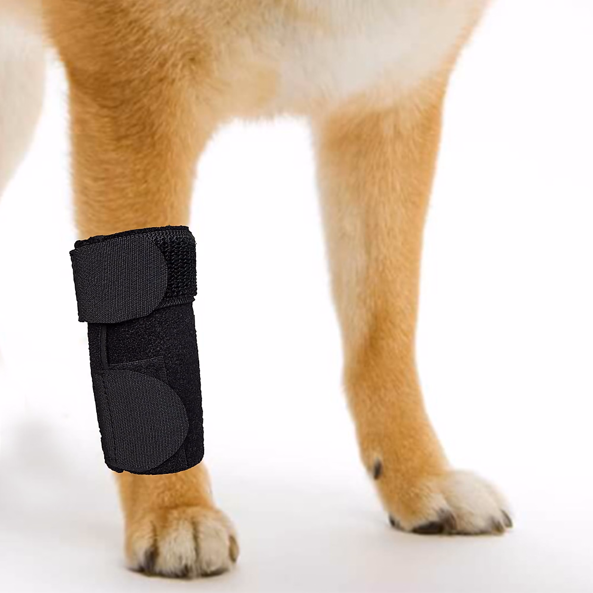 GenetGo Dog Canine Front Leg Brace Paw Compression Sleeve Joint Wraps - Protects Wounds Stop Licking & Prevents Injuries, Sprains Helps with Loss of Stability from Arthritis - Medium