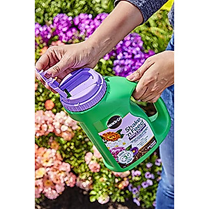 Miracle-Gro Shake 'N Feed Rose & Bloom Plant Food, Plant Fertilizer, 4.5 lbs. (6-Pack)
