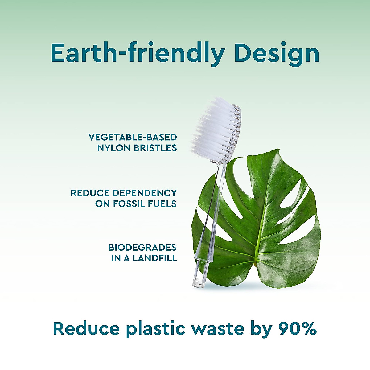 RADIUS Toothbrush Replacement Brush Heads 2-Count Improve Gum Health & Reduce Gum Issues - Soft Big Head - Pack of 1