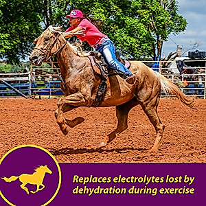 Horse Health Apple-Dex Apple Flavored Electrolytes for Horses, Replaces minerals lost during exercise, under stress or extreme weather conditions, 5 pound