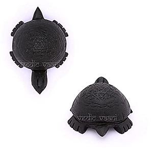 Vedic Vaani Shree Yantra On Tortoise Vastu Shaligram for Wealth and Protection (1 Pcs)