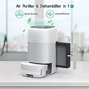 Air Purifier and Dehumidifier in 1, Afloia Q10 True HEPA Air Purifier with H13 HEPA Filter, Small Dehumidifier Combined with Air Cleaner, Remove Pet Odors Dust Smoke for Home, Bedroom, Bathroom