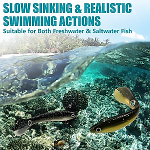 Soft Bionic Fishing Lure, Soft Plastic Fishing Lures, Bass Fishing Bait, Freshwater Top Water Saltwater Fishing Lures, Swim Baits for Bass Fishing, Bass Lures - 10 PCS