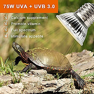 75W Sun Basking Lamp Bulb, AngleKai 6 Pack Full Spectrum UVA UVB Reptile Heat Lamp Bulb for Turtle Sunbathe Heat Lamp Bulb (75W) …