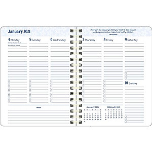 Posh: Deluxe Organizer 17-Month 2020-2021 Monthly/Weekly Planner Calendar: Blossoms and Bows