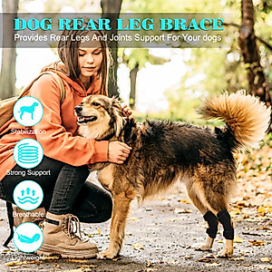 Domagiker Rear Leg Hock Brace, Dog Knee Brace with Metal Strips, Hock & Ankle Support Back Leg for Canine Torn, Dog Leg Sleeve for ACL & CCL Injury and Sprain Protection (Black, Medium(one Pair))