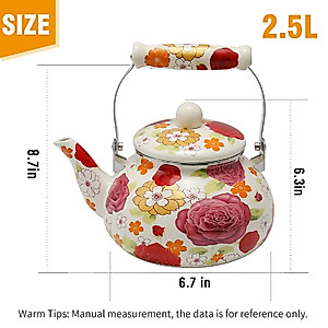 Anxingo Colorful Water Tea Kettle,Tea Kettle Pot for Stove, Top Porcelain Large Enamel Tea Kettle 2.5L,Retro Classic Design (style 2)
