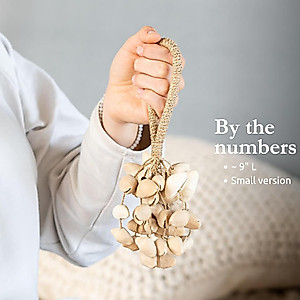 Meinl Sonic Energy Seed Shell Shaker Percussion Instrument — Nature Sounds for Meditation, ASMR, Sound Therapy, Yoga