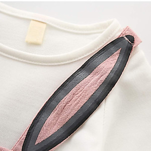 XFGLCK Toddler Kids Baby Girl Easter Outfit Long Sleeve Rabbit Style Dress Summer Clothes (Pink, 2-3 T)