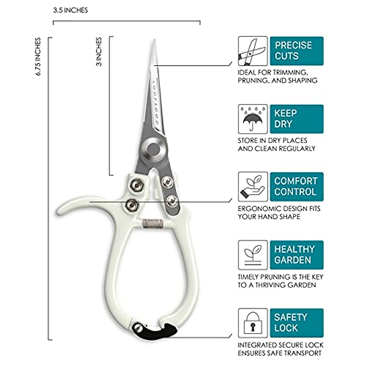 LOOPSEED Plant Pruning Shears Garden Trimming Scissors Precision Hand Pruner Herb Snips Flower Clippers Bonsai Trimmers Straight Sharp Blade Tapered Tip Ergonomic Handle Modern Garden Tools